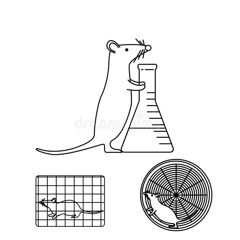 Maus in Den Laborexperimenten Vektor Abbildung - Illustration von mäuse ...