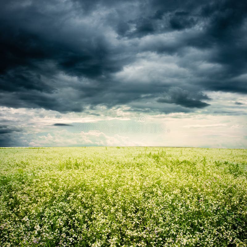 Mauvais Temps Dans La Campagne Image stock - Image du vert, isolement ...
