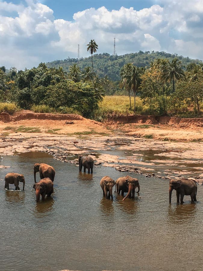 River Imawanella Stock Photos - Free & Royalty-Free Stock Photos from ...