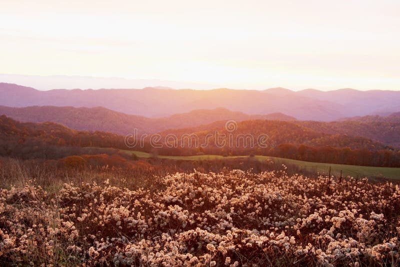 Max Patch at Sunrise stock photo. Image of patch, north - 69525126
