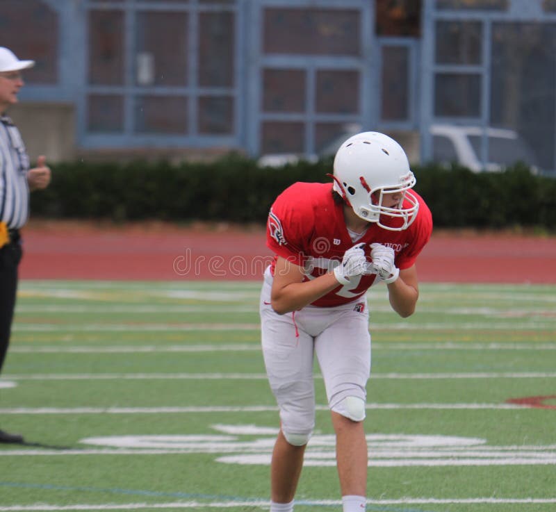 Max Zimmer Stock Photos - Free & Royalty-Free Stock Photos from Dreamstime