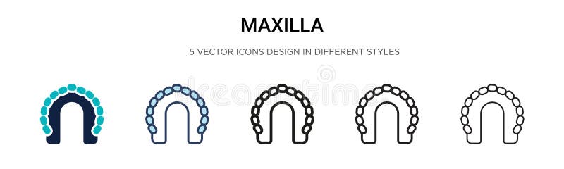 Maxilla Icon in Filled, Thin Line, Outline and Stroke Style. Vector ...