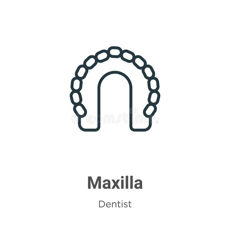 Outline Maxilla Vector Icon. Isolated Black Simple Line Element ...