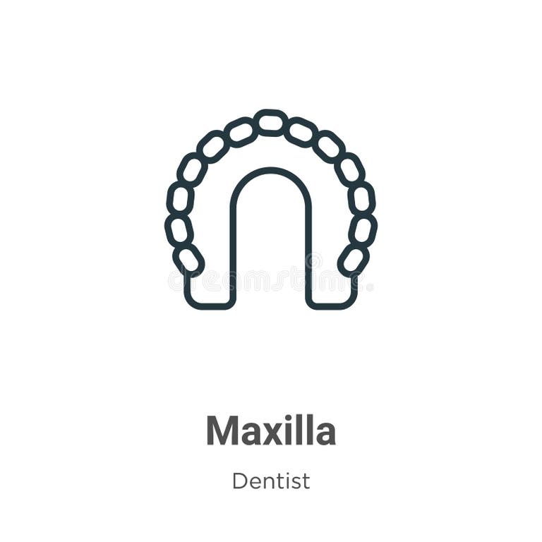 Maxilla Outline Vector Icon. Thin Line Black Maxilla Icon, Flat Vector ...