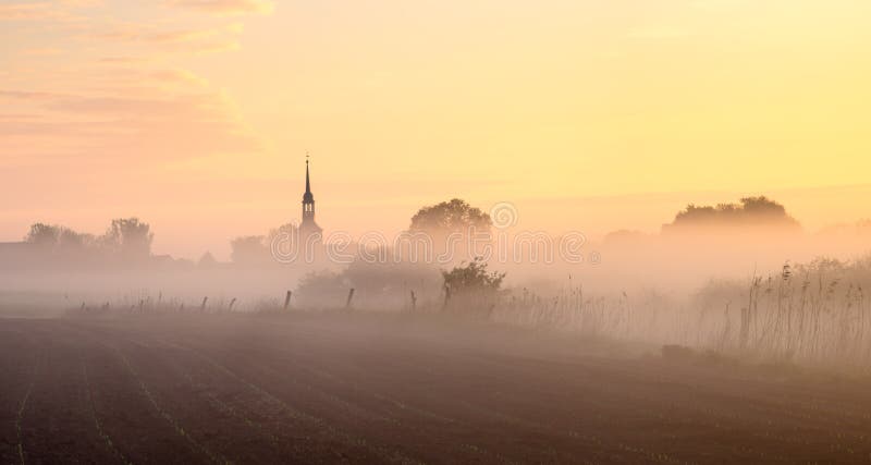The May Field in the Sun and the Fog Stock Photo - Image of clear ...