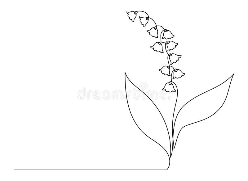 May Lily of the Valley in One Continuous Line Drawing. Simple ...