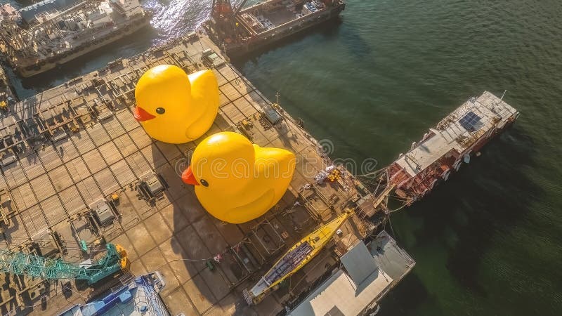 May 26 2023 Pre Ready of Rubber Duck Project HK Tour Editorial Stock ...