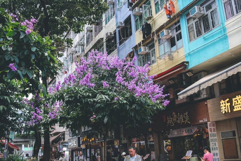 May 26 2023 the Residential Building at Tsuen Wan Editorial Image ...