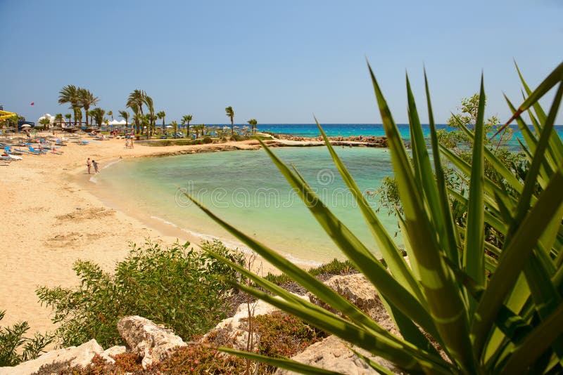 Sandy Beach on the Coast of Cyprus. Ayia Napa Editorial Photo - Image ...
