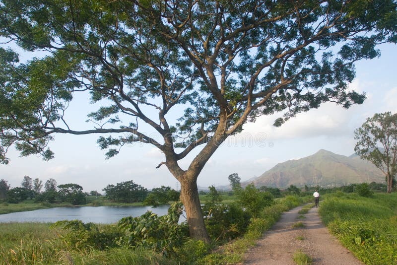 24 May 2007 Traditional Fish Pond Scenery with Dirt Grass Path Also As ...