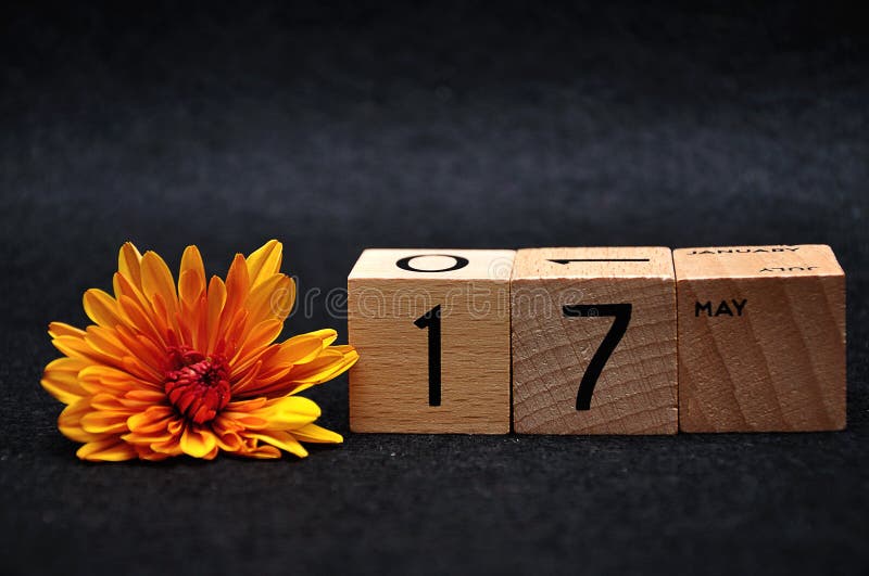 17 May on Wooden Blocks with an Orange Daisy Stock Photo - Image of ...