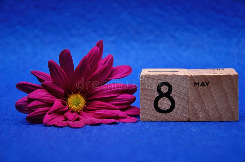 8 May on Wooden Blocks with a Purple Daisy Stock Photo - Image of ...