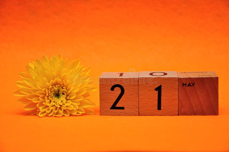 21 May on Wooden Blocks with a Yellow Daisy Stock Photo - Image of ...
