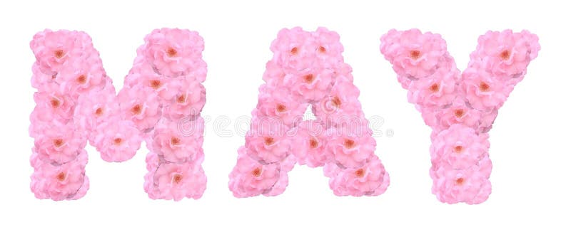 May month stock photo. Image of symbol, pink, typographic - 276614568