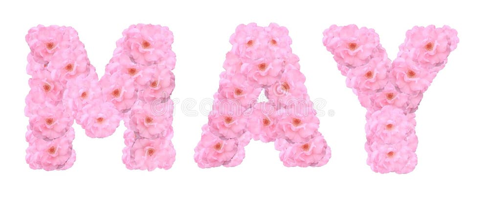 May month stock photo. Image of symbol, pink, typographic - 276614568