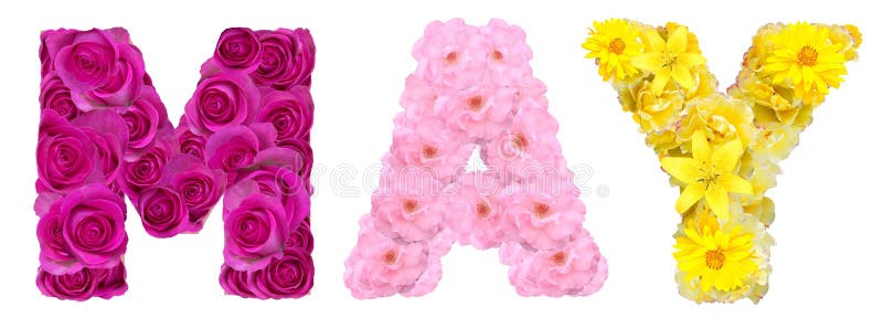 May month stock image. Image of element, style, lily - 277056193