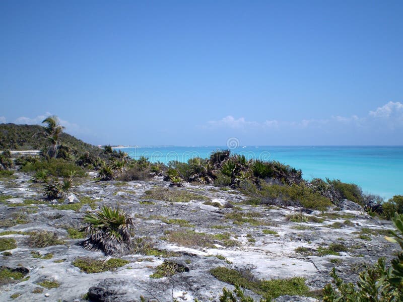 Faces of happy people stock image. Image of life, summer - 5608335