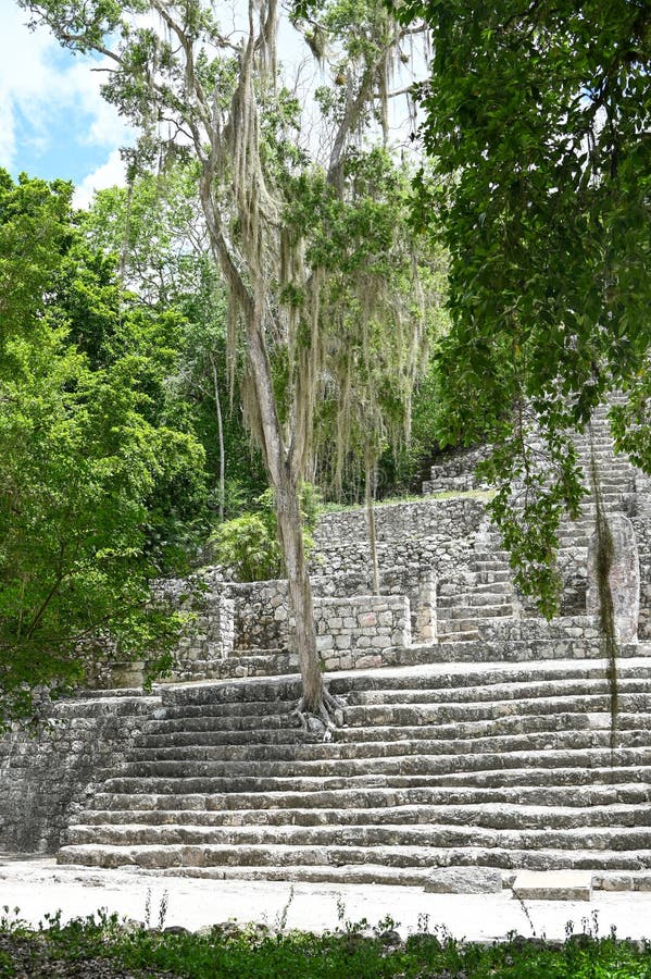 Maya Ruins Covered by Tropical Forest Stock Photo - Image of green ...