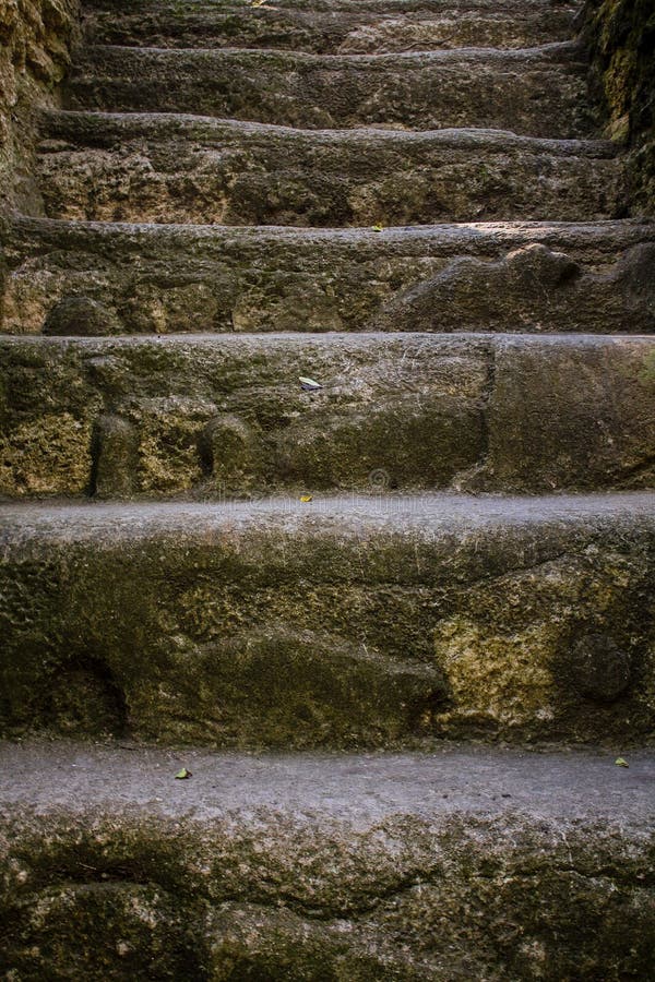 Mayan Piramide Staircase Tikal Guatemala Stock Photo - Image of peten ...