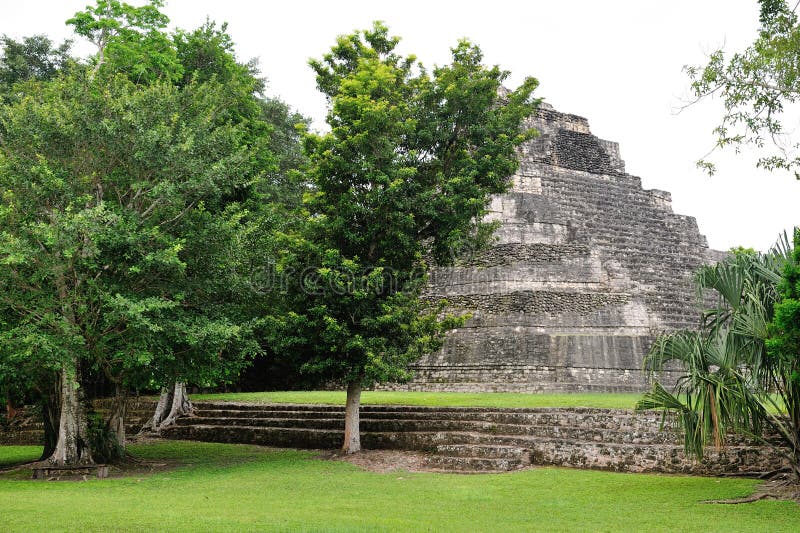 Mayan Pyramid stock image. Image of tour, green, mexico - 61923315