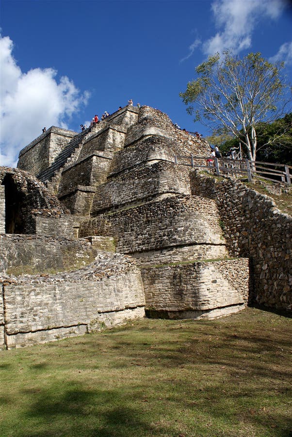 Mayan Pyramid stock photo. Image of belize, central, ruins - 67229876