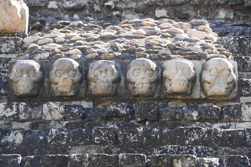 The Mayan ruins of Copan stock image. Image of acropolis - 38684057