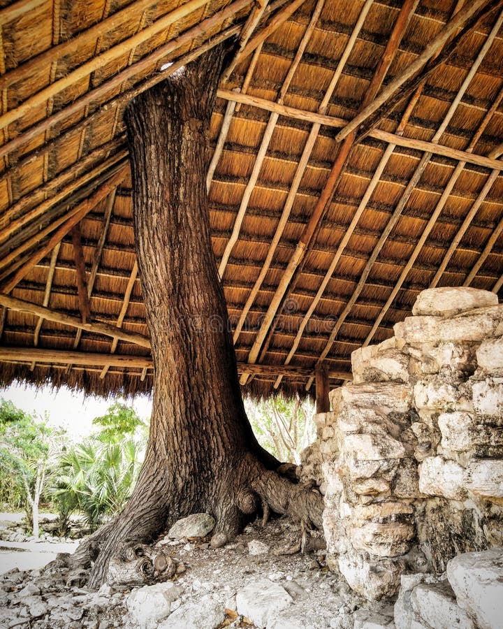 Mayan ruins cozumel stock image. Image of mexico, history - 90541147