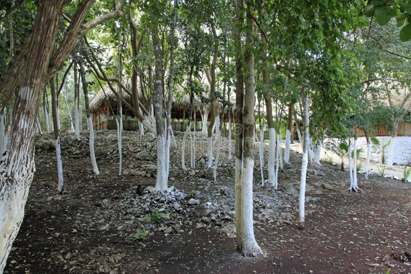 Mexican Restraunt Delhi Stock Photos - Free & Royalty-Free Stock Photos ...