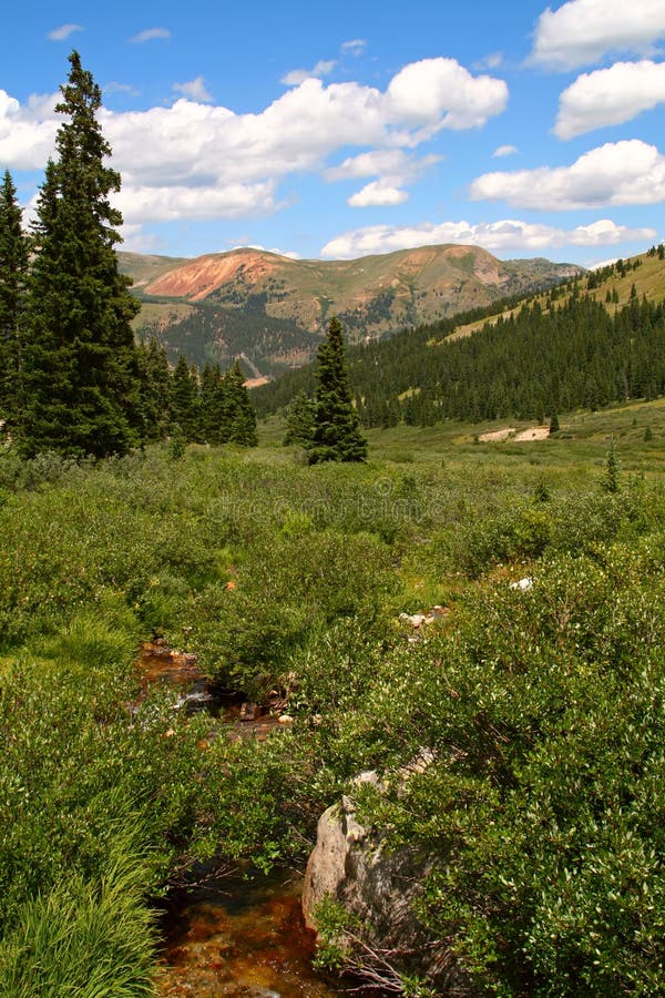 Mayflower Gulch stock image. Image of stream, alpine, mountain - 4355743