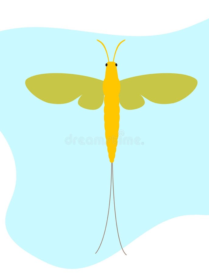 Mayfly Insect Clipart Vector Stock Vector - Illustration of ...