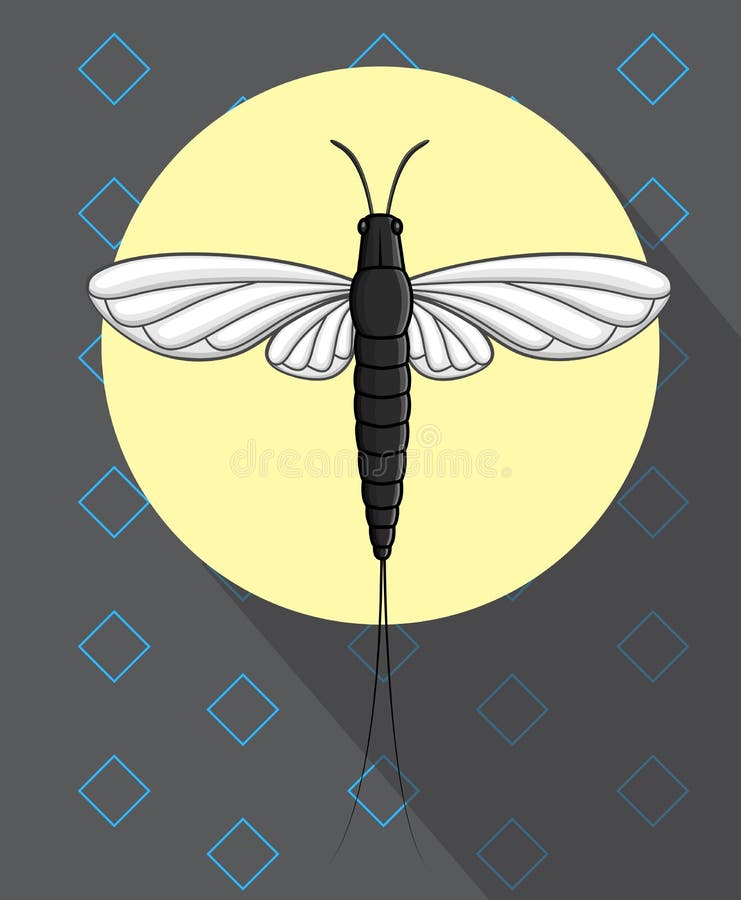 Mayfly Vector Stock Illustrations – 145 Mayfly Vector Stock ...