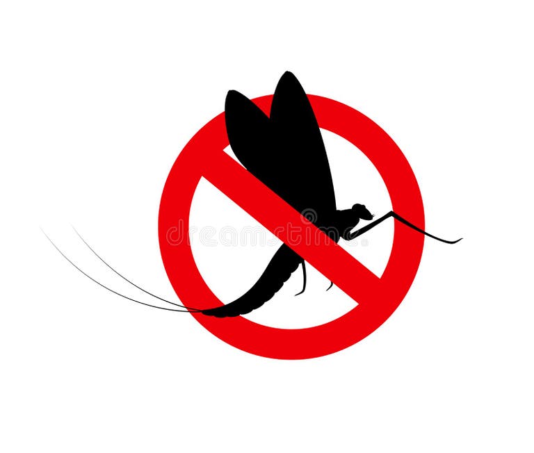 Mayfly Insect Prohibited Sign Stock Vector - Illustration of ...