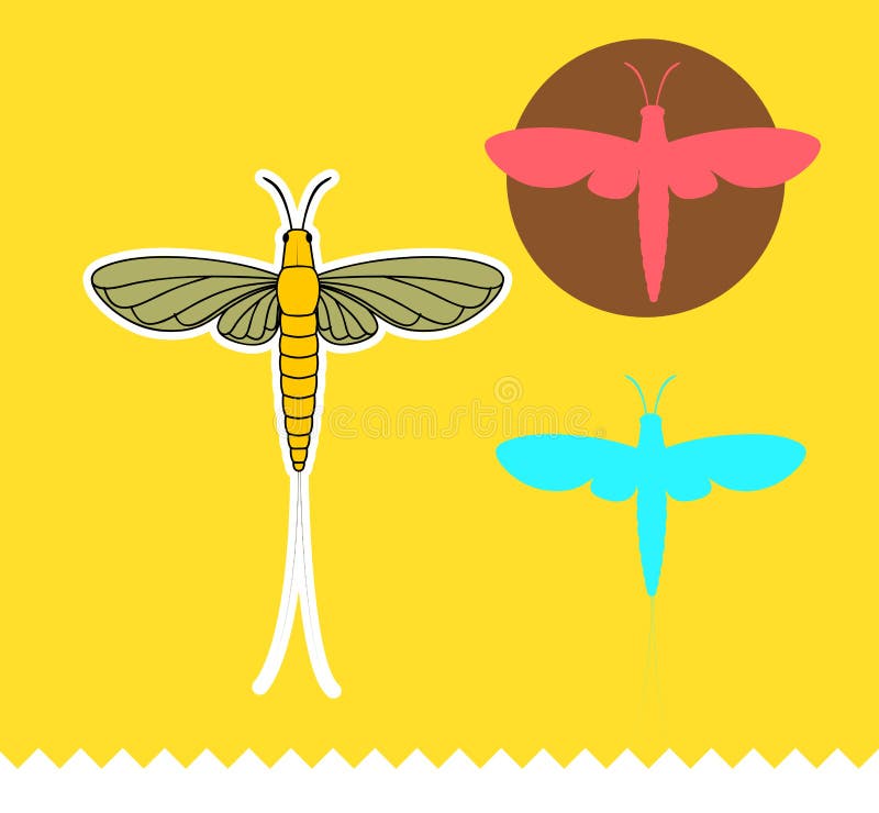 Mayfly Stock Illustrations – 227 Mayfly Stock Illustrations, Vectors ...