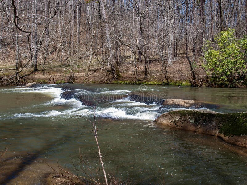 Mayo River at Mayo River State Park Stock Image - Image of river ...