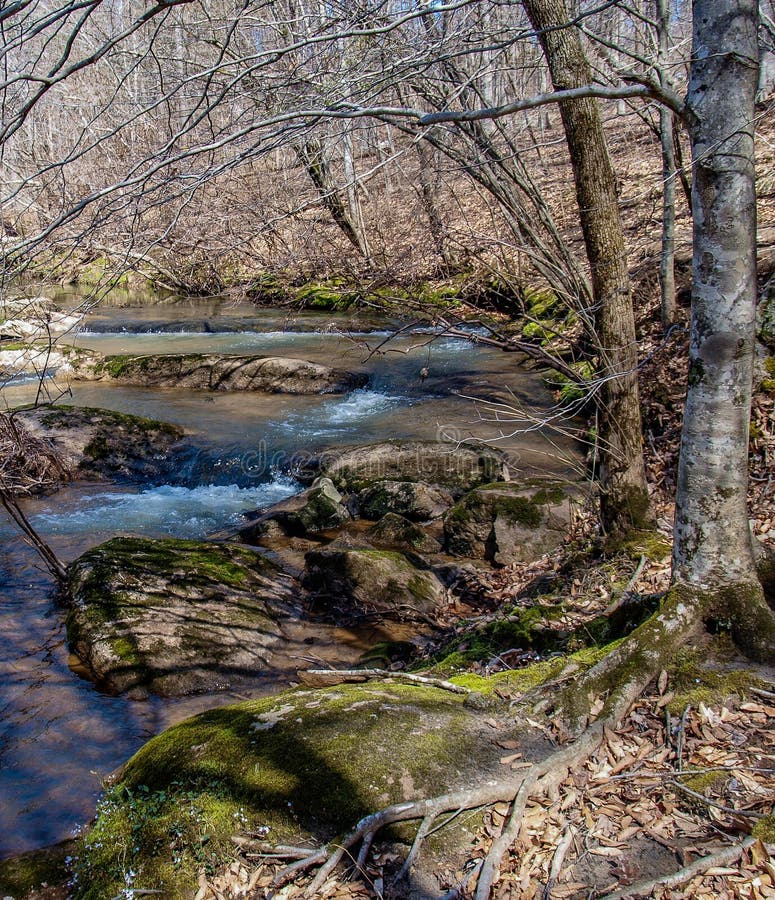 Mayo River at Mayo River State Park Stock Photo - Image of tributary ...