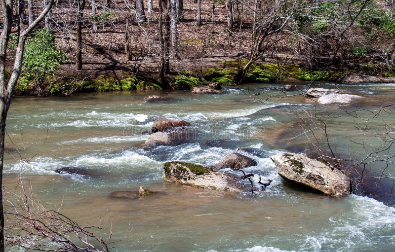 Mayo River at Mayo River State Park Stock Image - Image of river, water ...