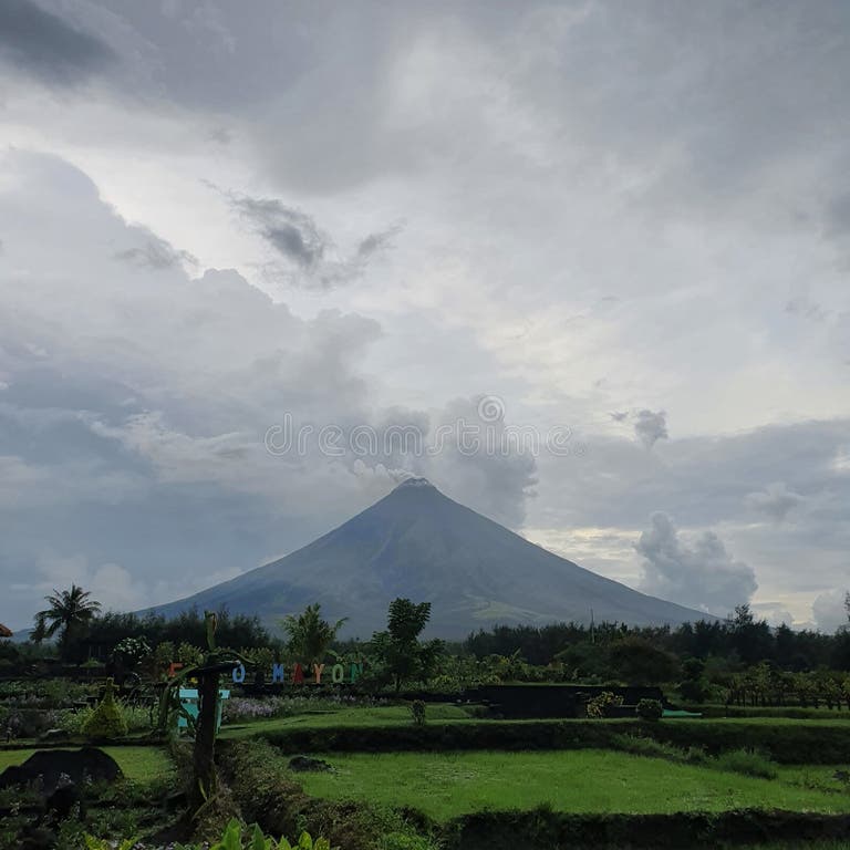 Mayon stock image. Image of mountain, tree, horizon - 282517195