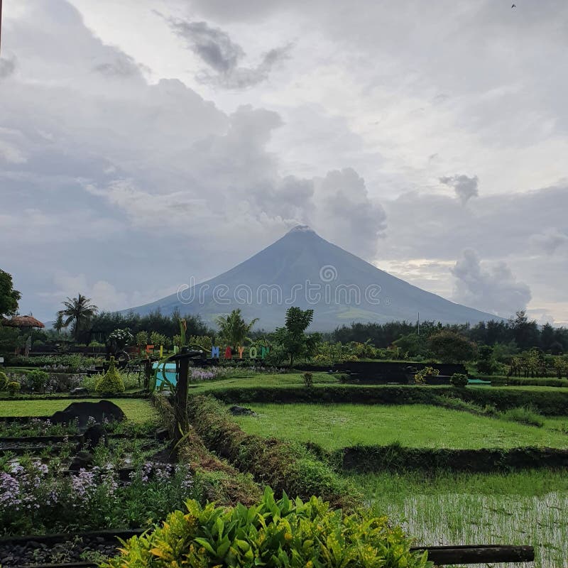 Mayon stock image. Image of mountain, landscape, farm - 282517221