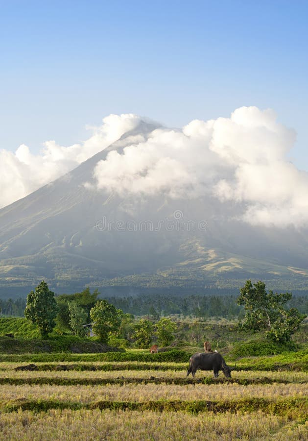 Mount Mayon Volcano Landscape Philippines Stock Photo - Image of ...