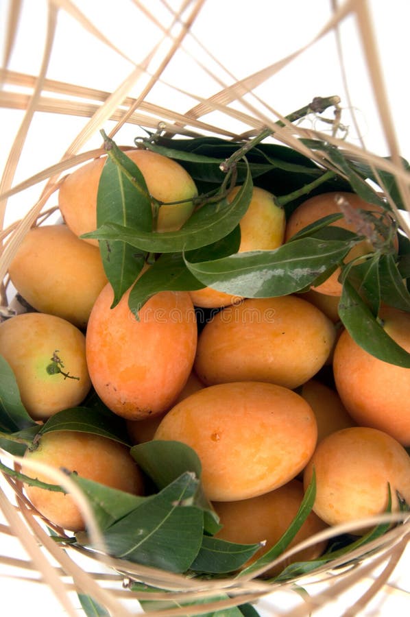 663 Mayongchid Maprang Marian Plum Tree Stock Photos - Free & Royalty ...