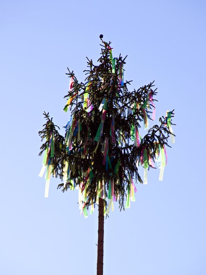 Maypole stock image. Image of germany, trunk, celebration - 1368387