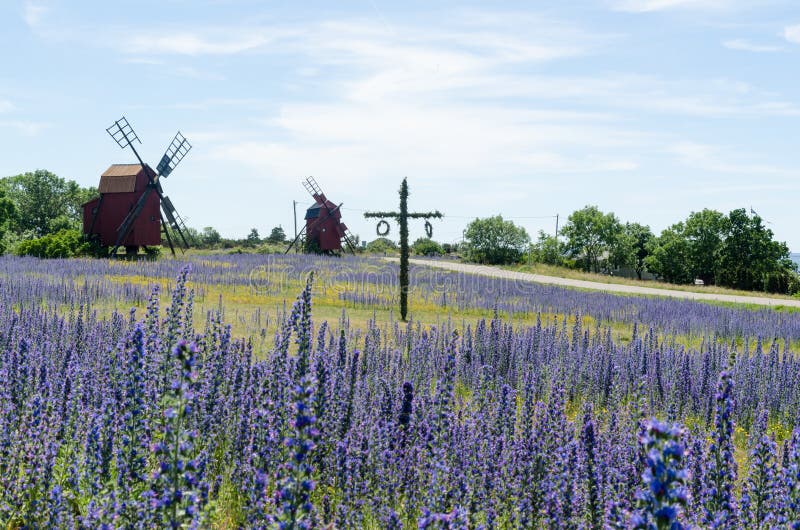 Maypole in a Blue Field at the Swedish Island Oland Stock Photo - Image ...