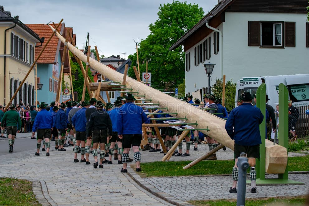 Maypole Setting Up in Murnau, Bavaria - May 1 2018 Editorial Stock ...