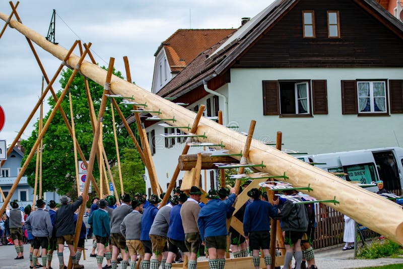Maypole Setting Up in Murnau, Bavaria - May 1 2018 Editorial Image ...