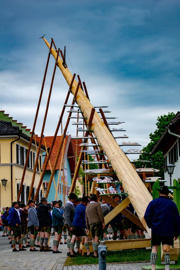 Maypole Setting Up in Murnau, Bavaria - May 1 2018 Editorial Stock ...
