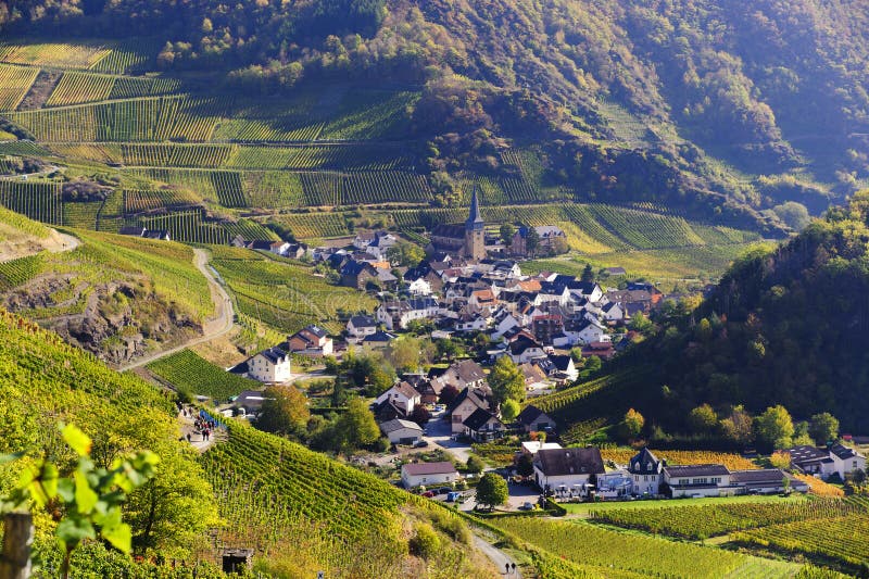 Vineyards in the Ahr Valley Stock Photo - Image of mayschoss, interest ...