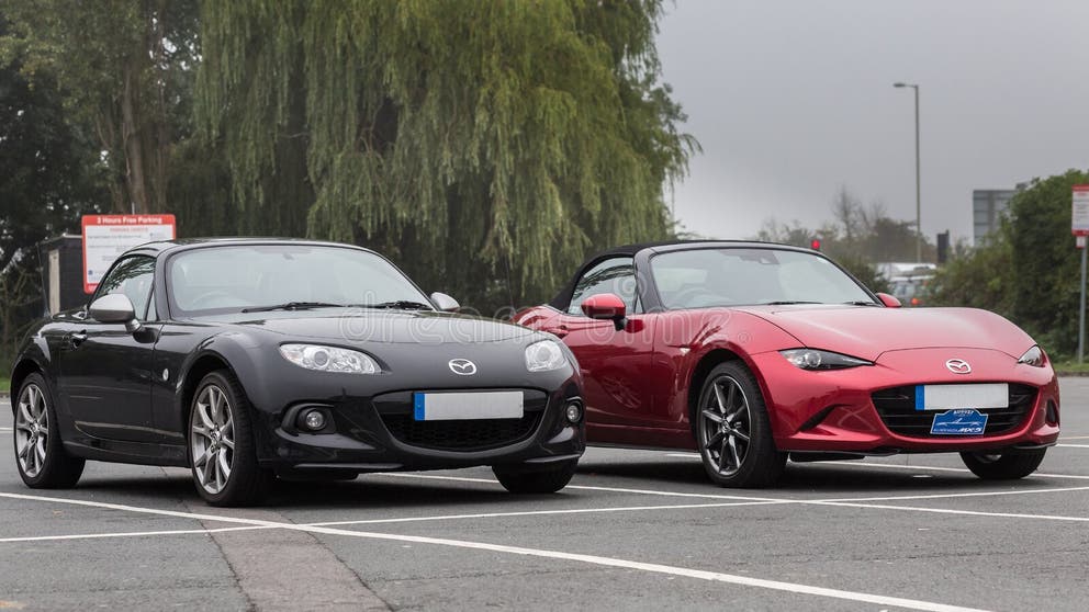 522 Image Older 4 Stock Photos - Free & Royalty-Free Stock Photos from ...