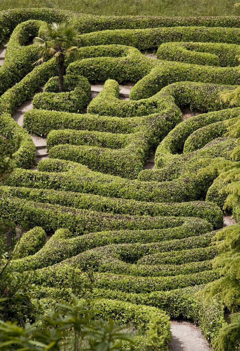 217 Shrubs Maze Stock Photos - Free & Royalty-Free Stock Photos from ...