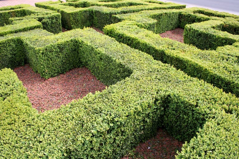 2,581 Hedge Maze Stock Photos - Free & Royalty-Free Stock Photos from ...