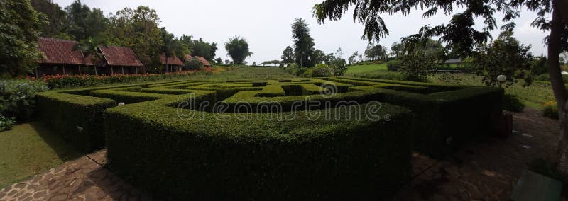 Bush Maze stock image. Image of puzzle, artificial, bush - 5721135